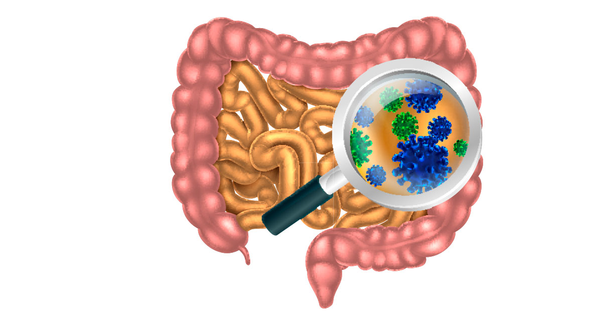 Descubre cómo proteger y cuidar tu flora intestinal con avena | Granvita